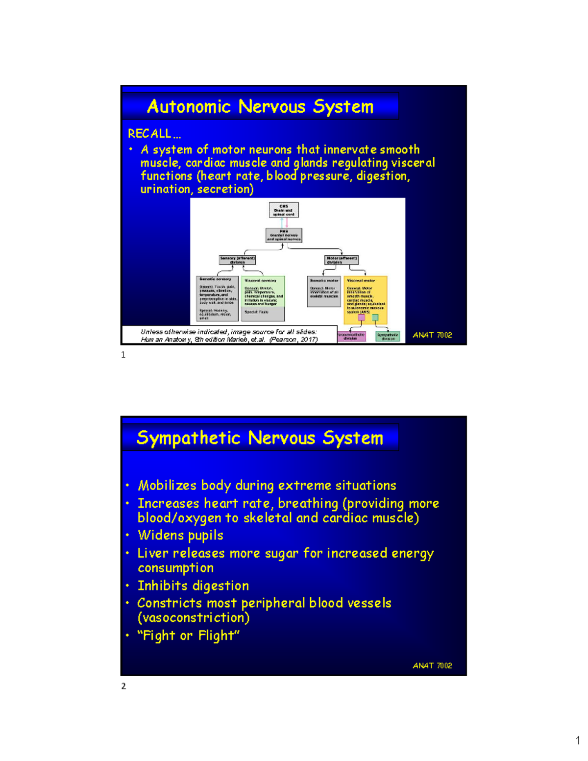 Autonomic Nervous System (2 slides per page) - ANAT 1002 - Fanshawe ...