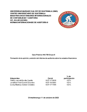 38- NIA 720 - GUIA - NORMA INTERNACIONAL DE AUDITORÍA 720 ...