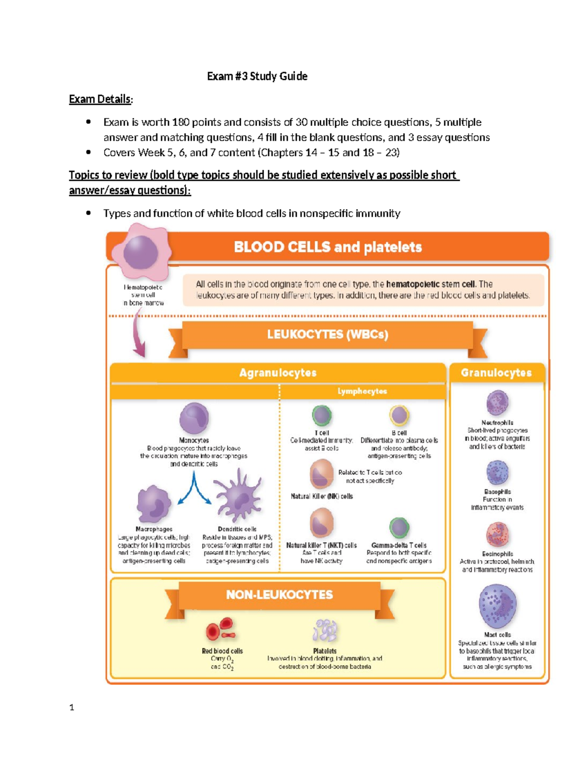 BIOS 242 Exam 3 Study Guide - Exam #3 Study Guide Exam Details: Exam is ...