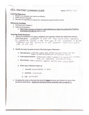 Anatomy (dragged) 20 - stacy ruch - BIO 175 - Studocu