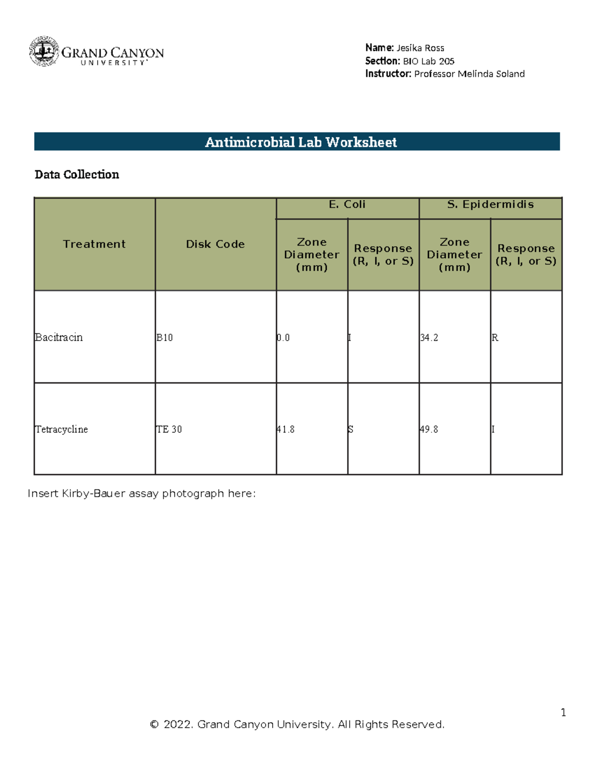 BIO 205L RS Lab11Antimicrobial Lab Worksheet Online Tradonline - Name ...