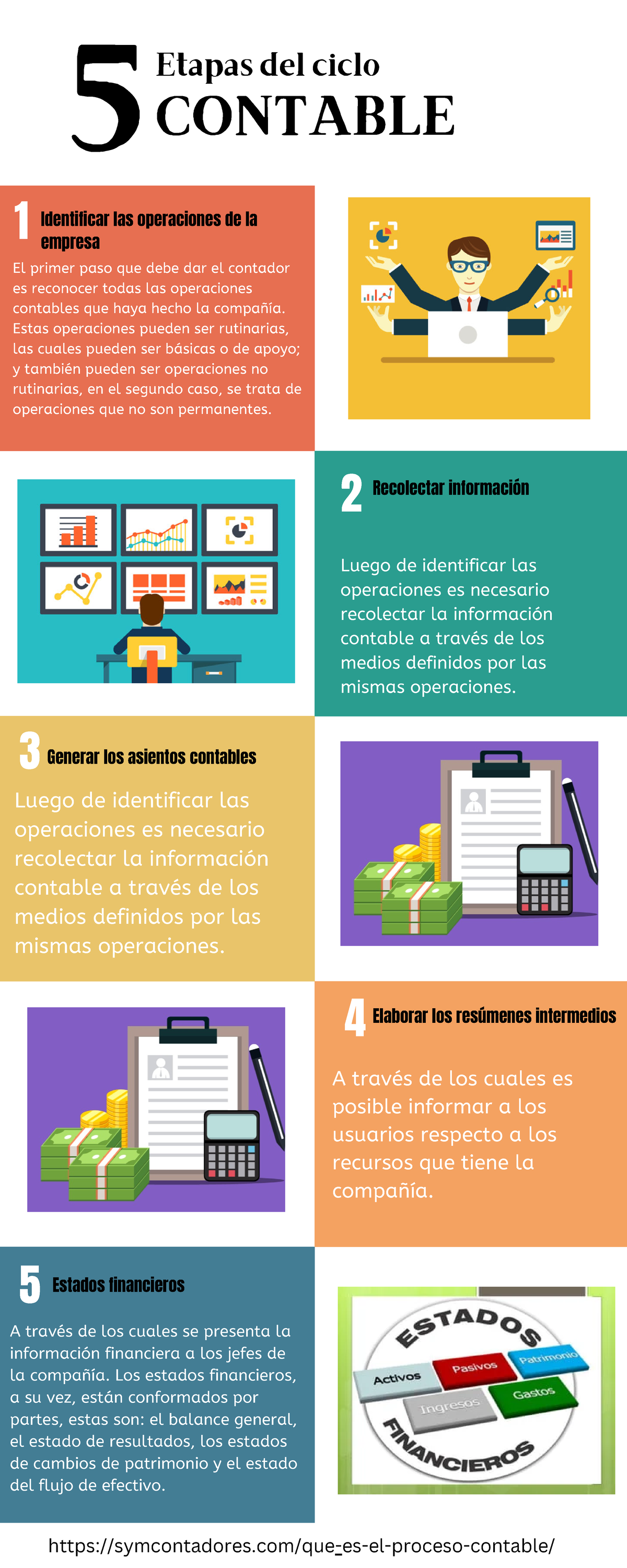 Infografía reporte financiero y contable profesional ilustrativo verde ...