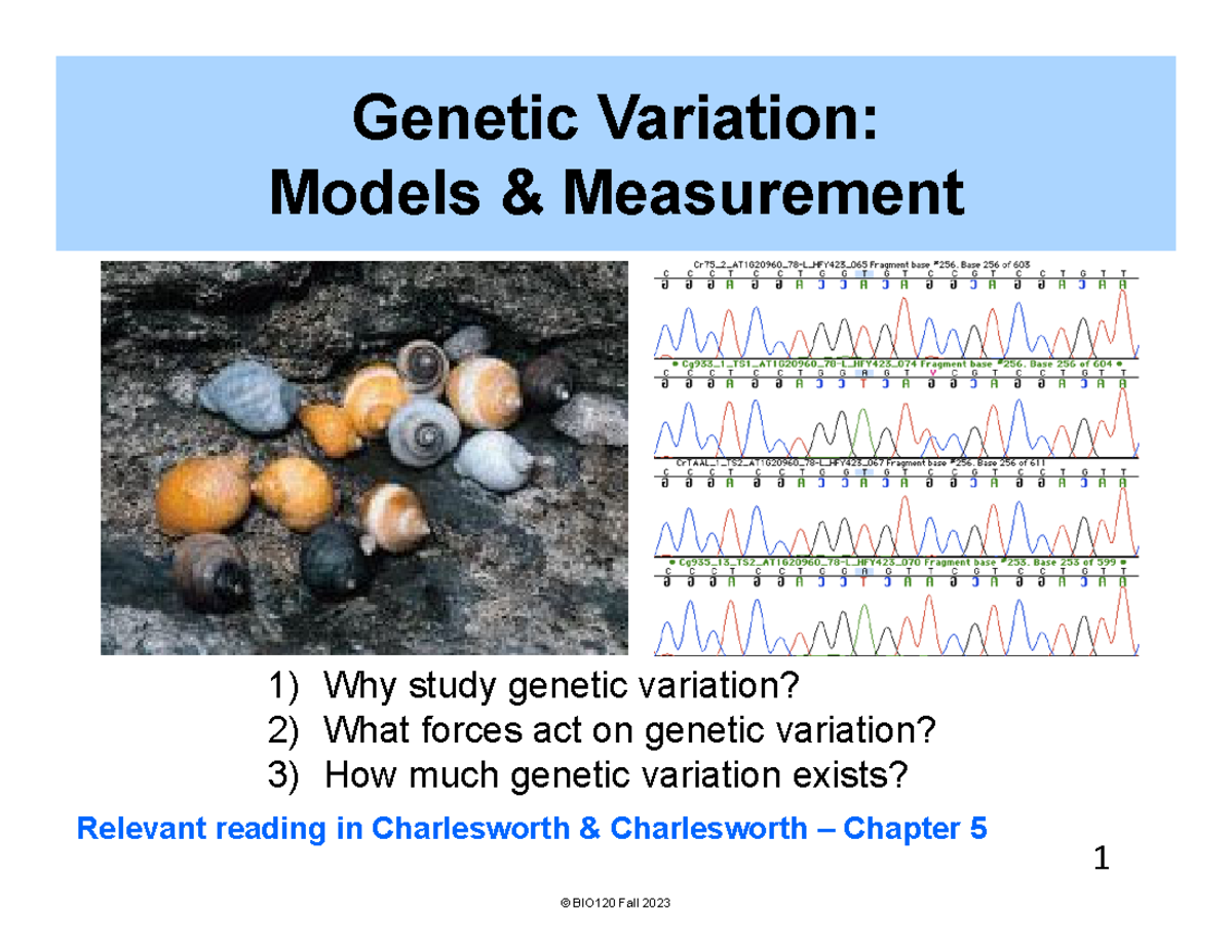 BIO120Fall2023 Lecture 17 1slideperpage - Genetic Variation: Models ...