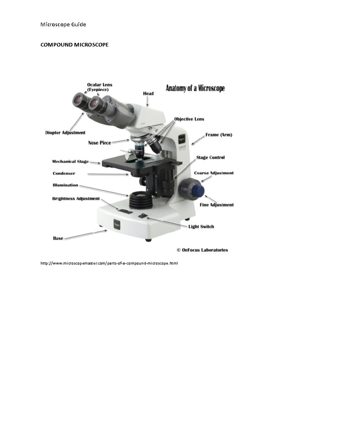 Dissecting Microscope Parts Quiz
