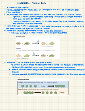 intro to biology : HW 14 : meiosis and inheritance - CANVAS HW 14 ...