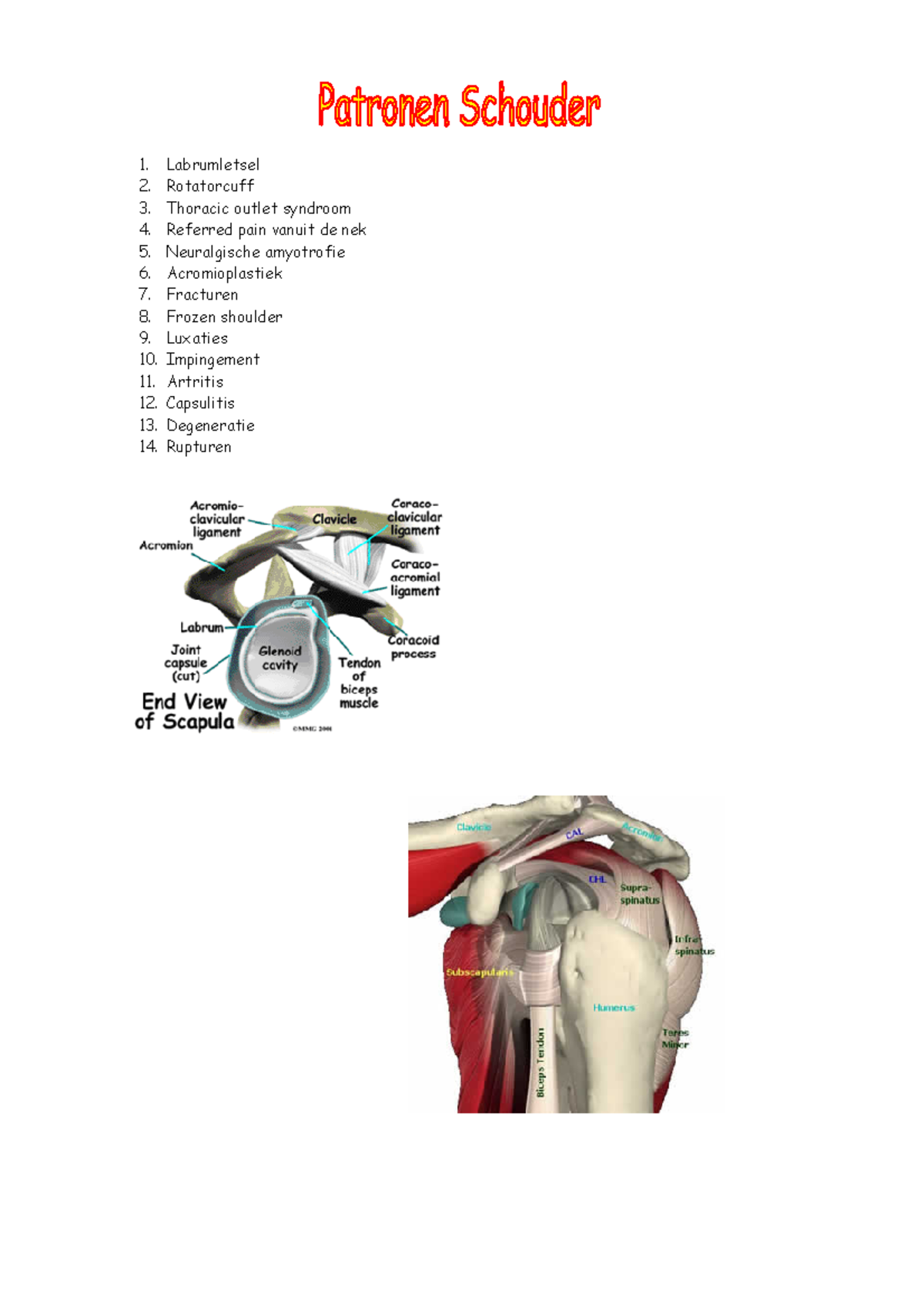 Patronen Schouder - 1. 2. 3. 4. 5. 6. 7. 8. 9. 10. 11. 12. 13. 14 ...