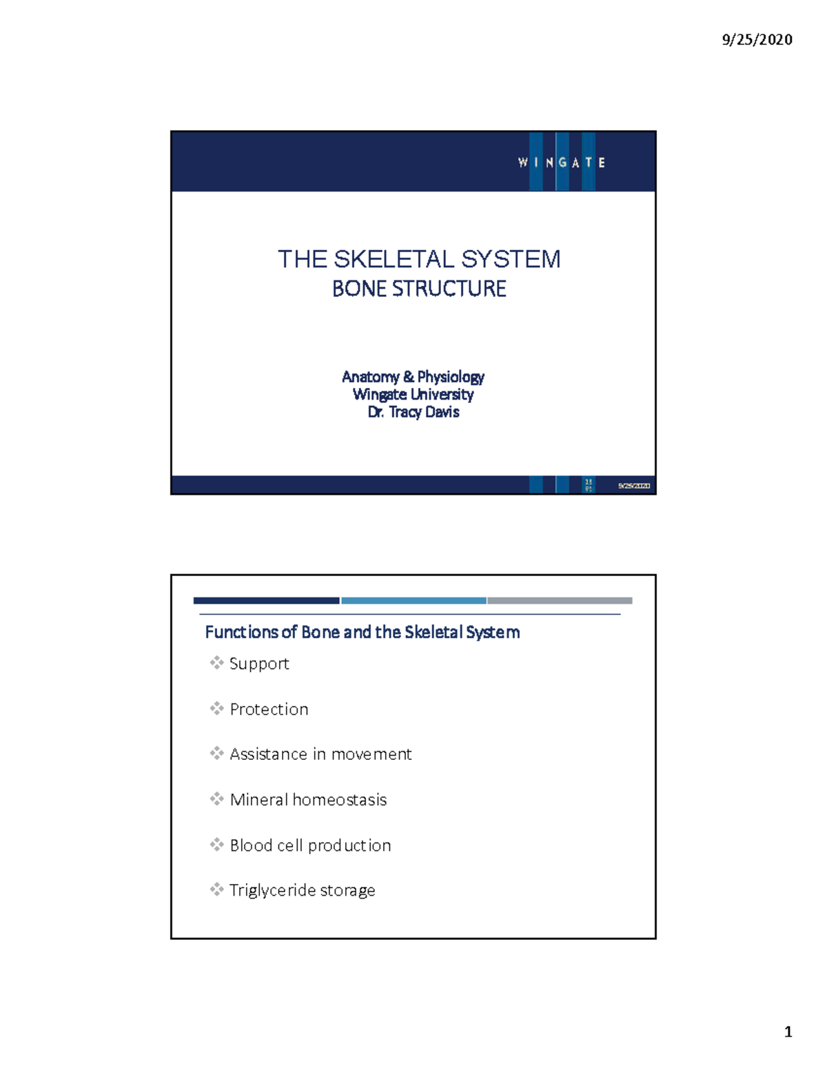 Bone Structure 2 slides per page - 9/25/ Anatomy & Physiology Wingate ...