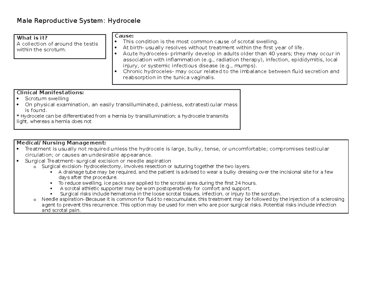 Concept Map Hydrocele Male Reproductive Male Reproductive System