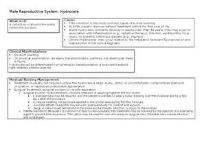 Concept Map Benign Prostatic Hyperplasia (BPH) - Male Reproductive ...