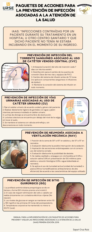 DOC-20231107-WA0011 - es el formato para realizacion de un pae - PLAN ...