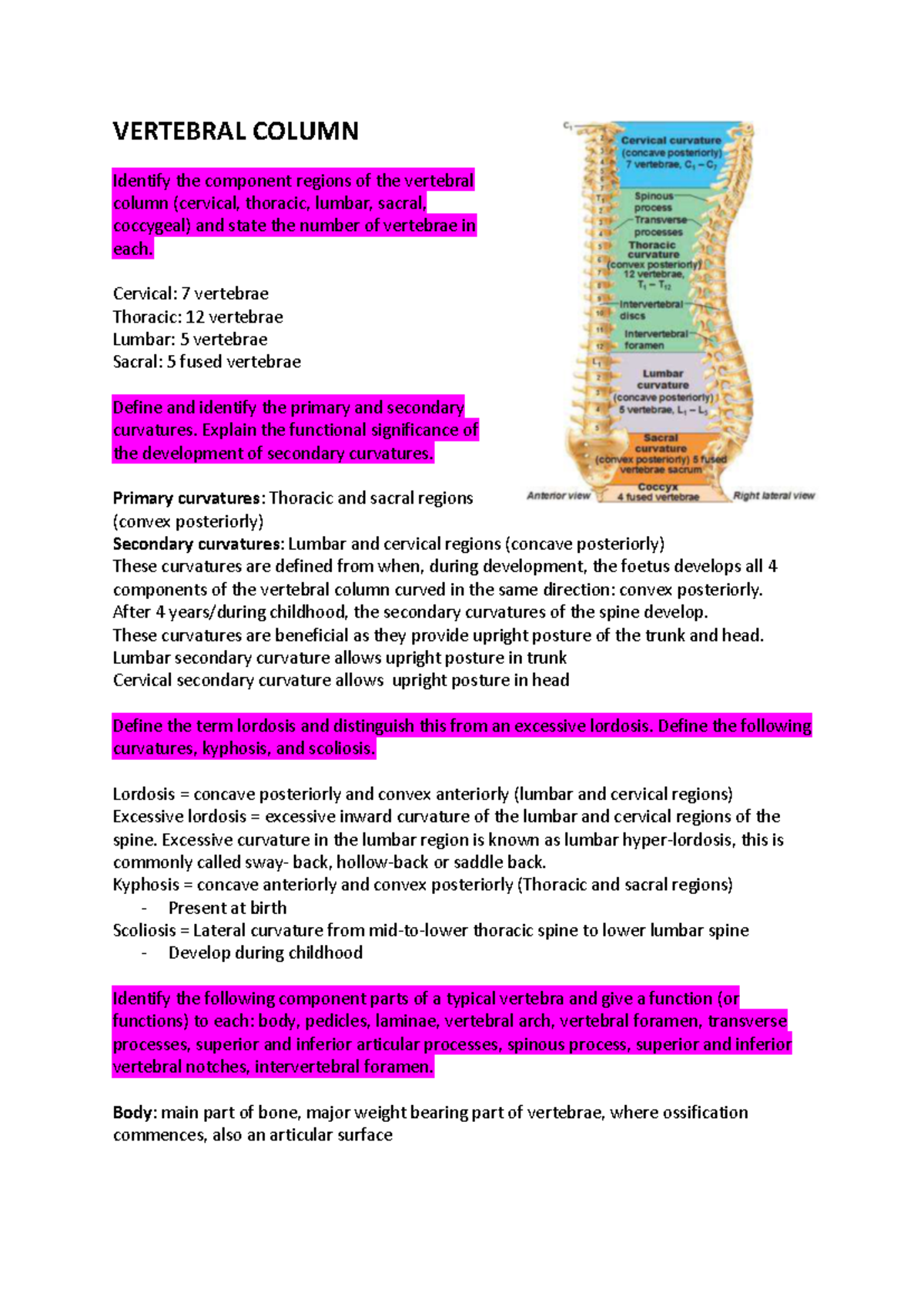 ALT full LO notes - VERTEBRAL COLUMN Identify the component regions of ...