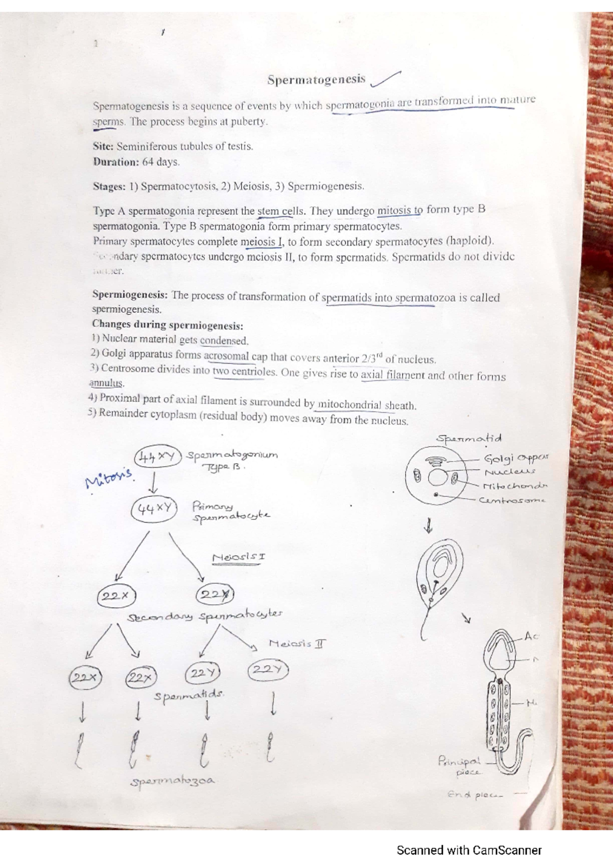 Embryology and genetics - Laboratory Work-I - Studocu