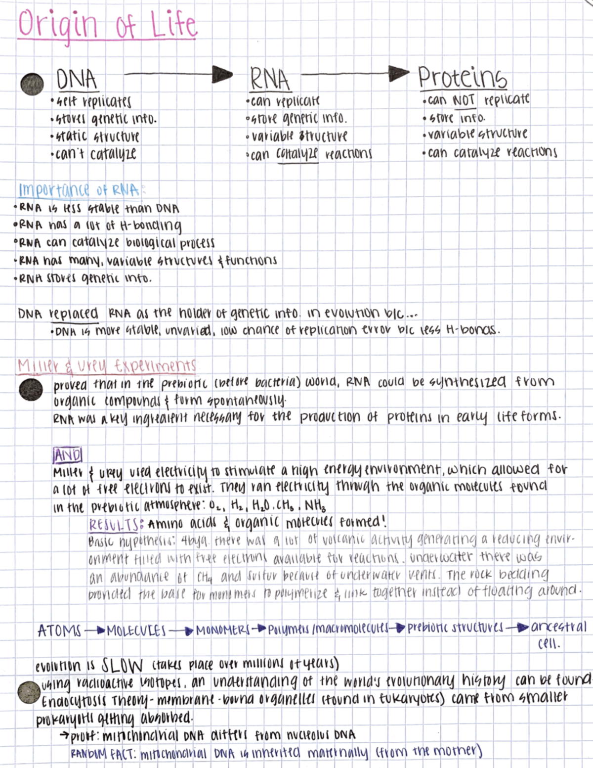 Exam 2 Review sheets 1 - biology - BIO 320 - Studocu