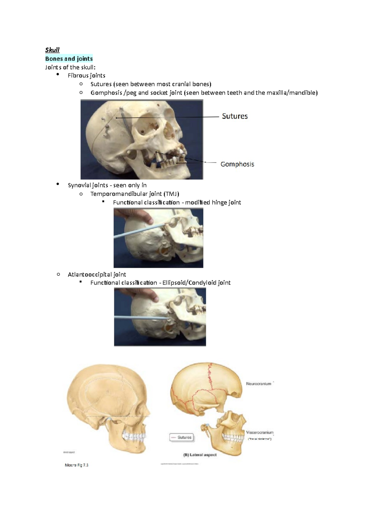 Week 1 anatomy - Lecture notes 1 - Skull Bones and joints Joints of the ...