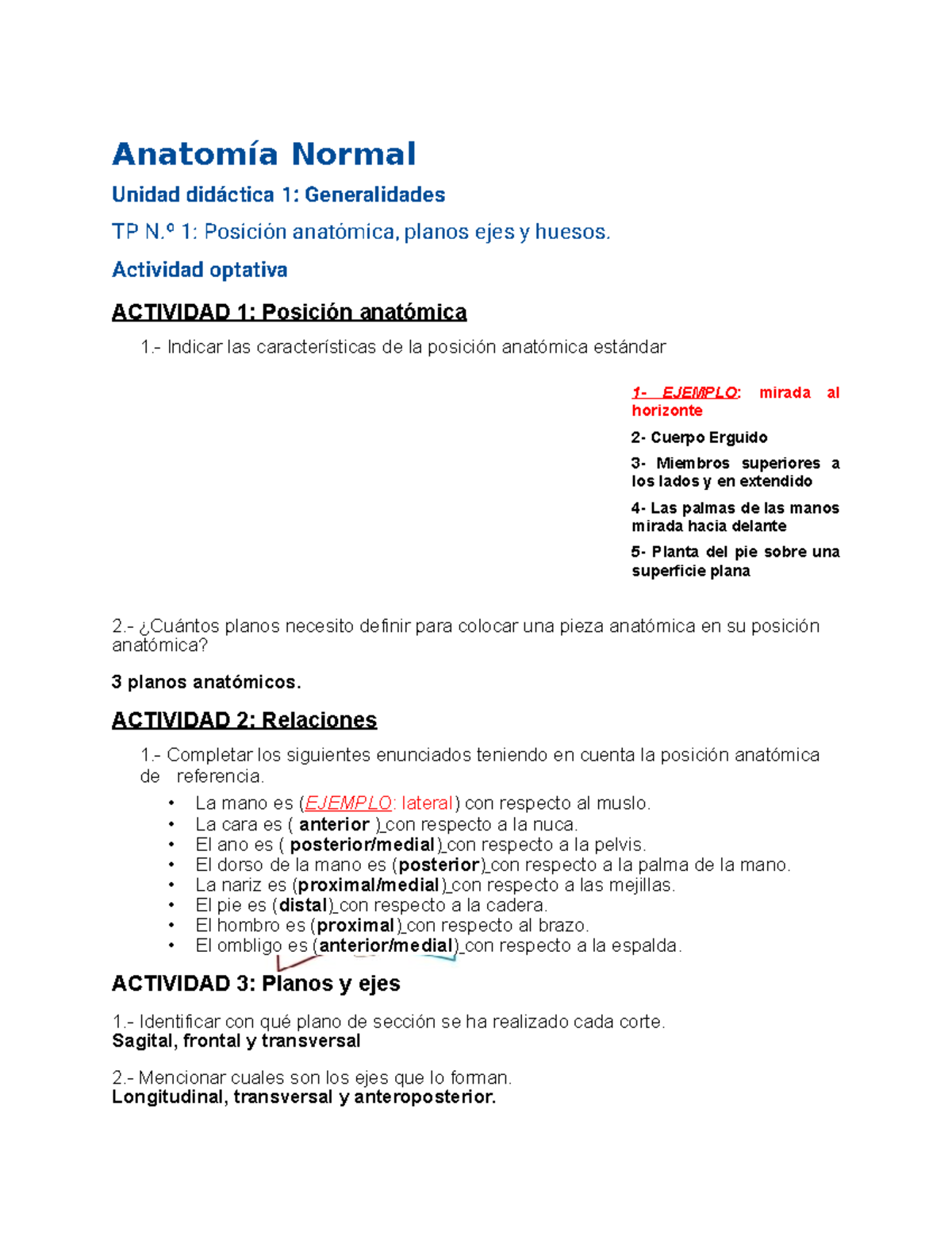 Tp Gen Y Huesos Anatomía Normal Unidad Didáctica 1 Generalidades Tp