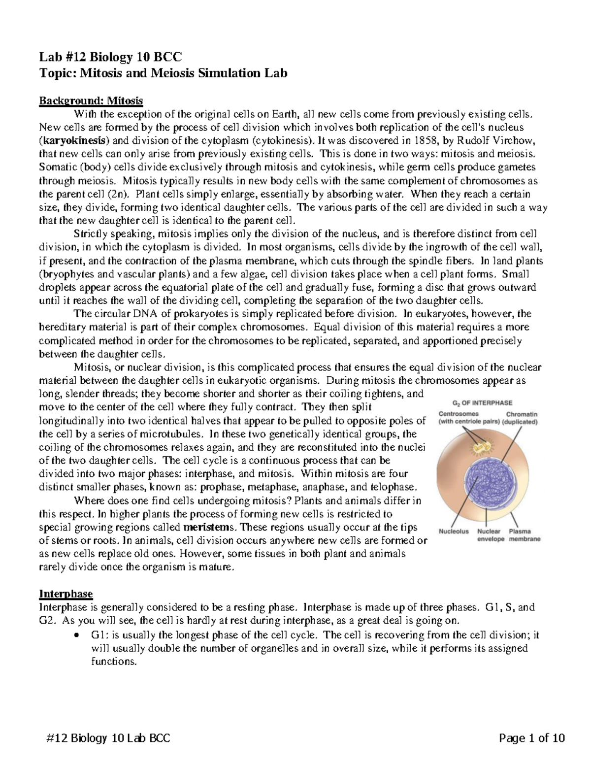 Mitosis vs meiosis - Lab #12 Biology 10 BCC Topic: Mitosis and Meiosis ...
