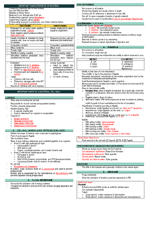 Brown and Beige Scrapbook Timeline Infographic - OBORDO, PRINCESS ERIKA ...