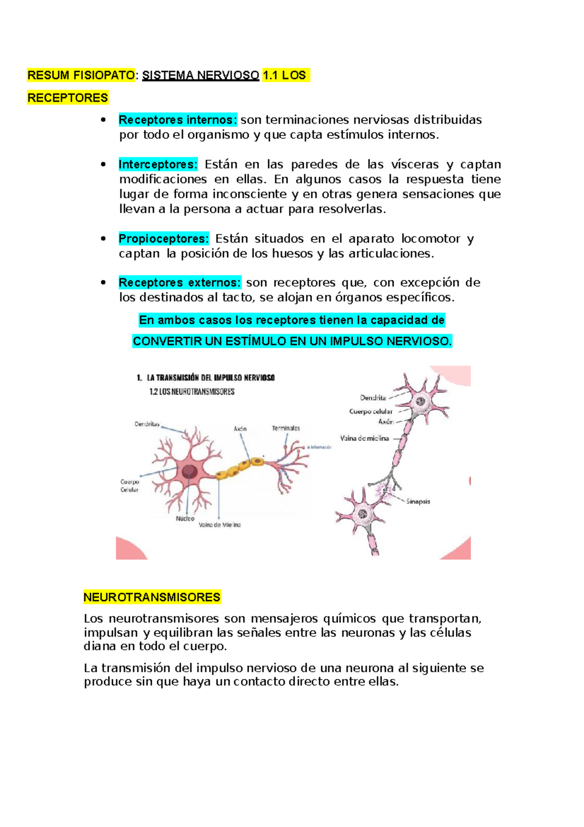 Fisiopato Resum Sistema Nerviós - RESUM FISIOPATO: SISTEMA NERVIOSO 1 ...