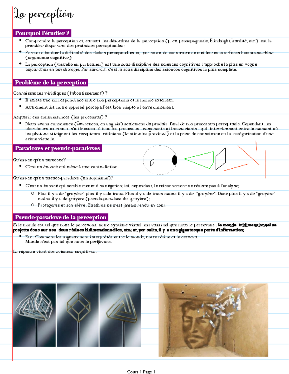 PSY2055 - Cours 1 : Introduction à la perception - Comprendre la ...