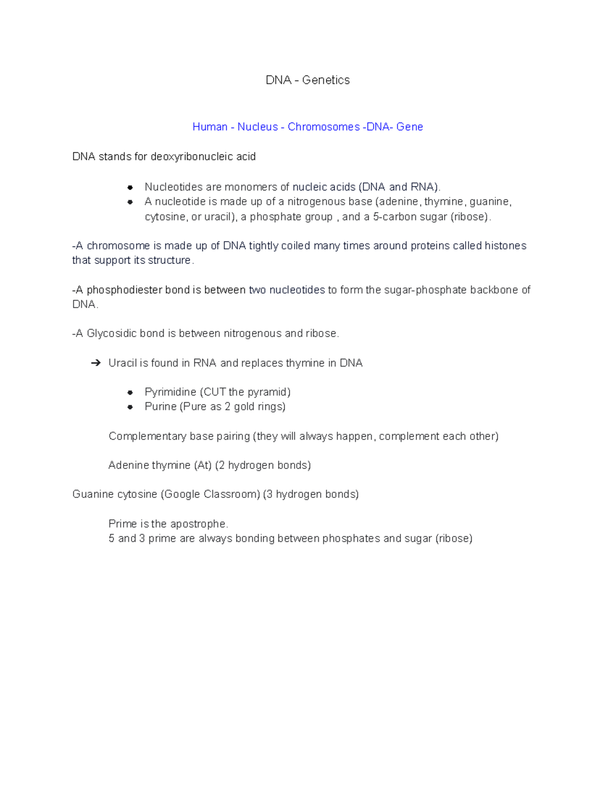MYP 5 Biology Notes - DNA - Genetics Human - Nucleus - Chromosomes -DNA ...