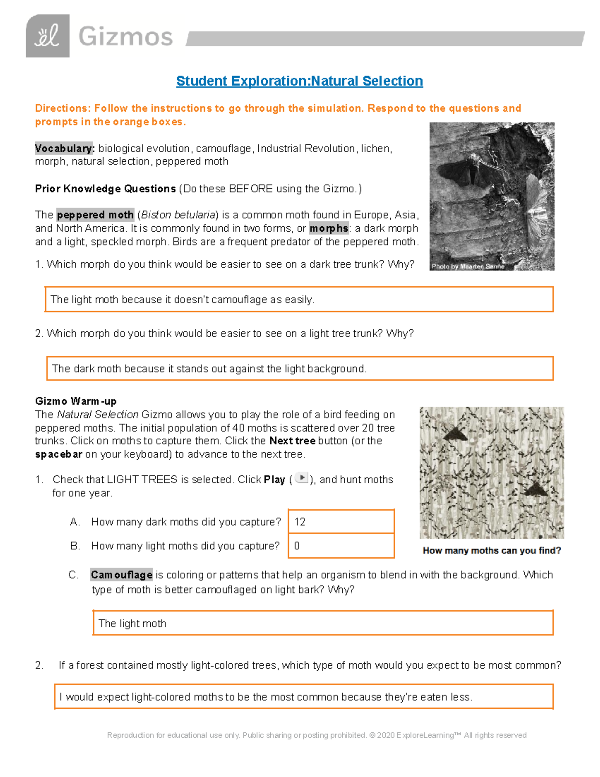 Grace Kim - Gizmo - Natural Selection - Student Exploration:Natural ...