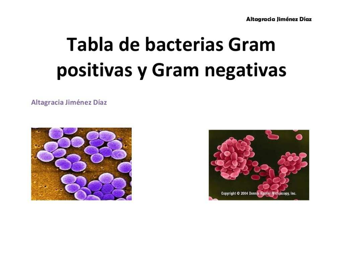 Pdf-tabla-de-bacterias-gram-positivas-y-gram-negativas-de-importancia ...