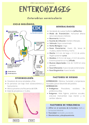 Amibiasis Intestinal - La amebiasis es una parasitosis producida por la ...