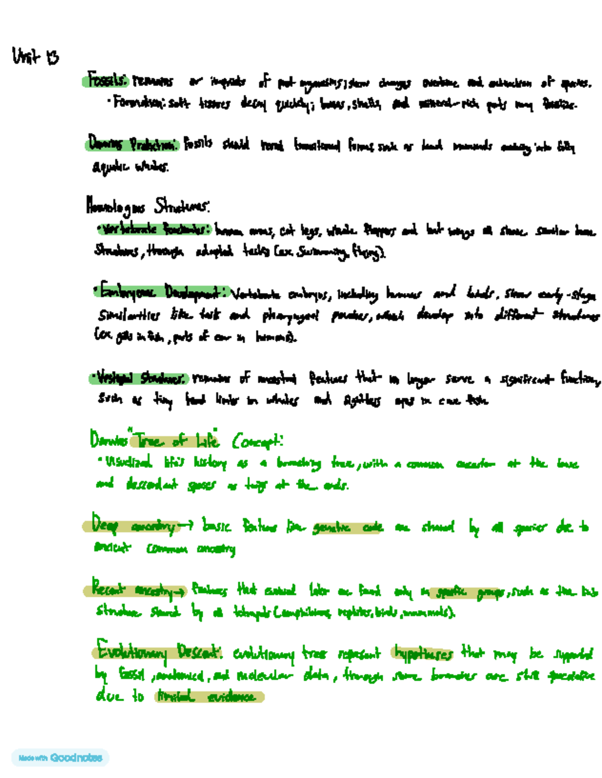 mendel genetic notes - Unit 13 Fossils : remains or imprints of past ...