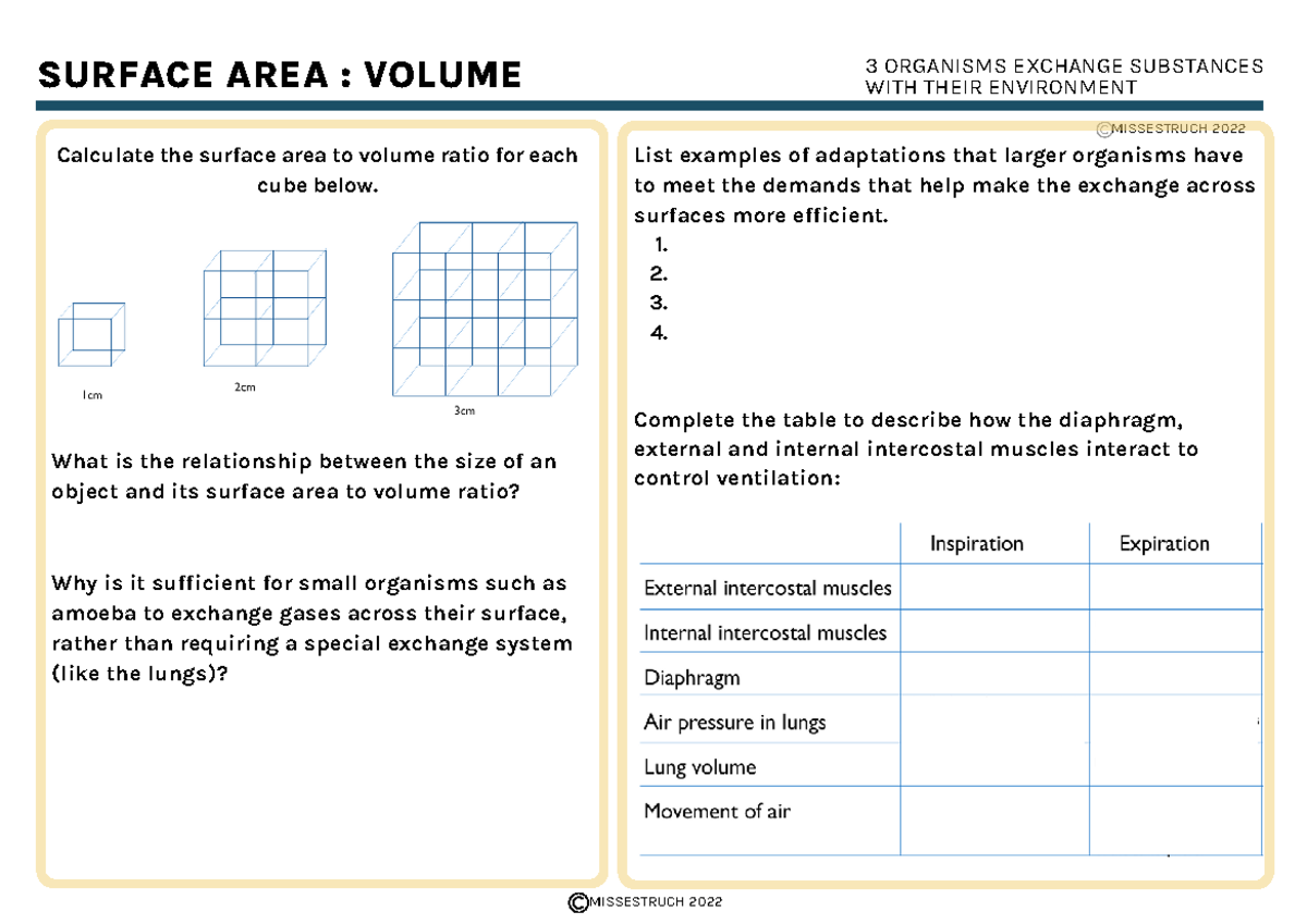 Topic 3 Organisms exchange substances with their environment workbook ...