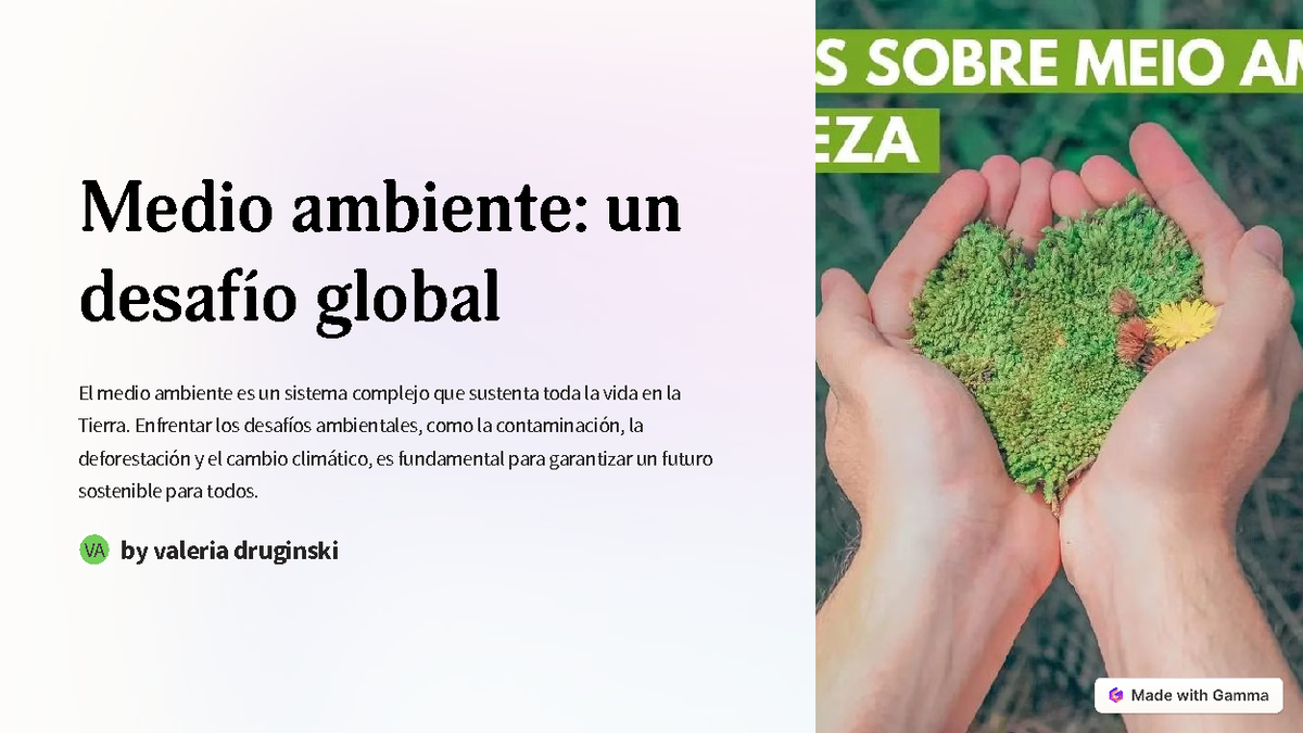 Medio ambiente un desafio global - Medio ambiente: un desafío global El ...