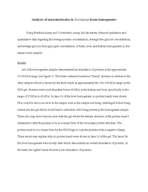 Review Session 1 Worksheet Answers - Review Session 1 Worksheet ...