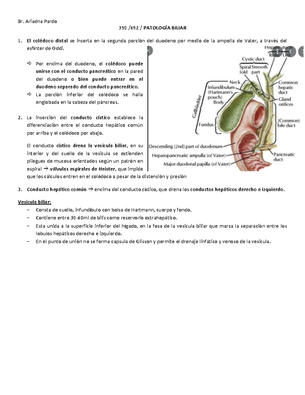 vesicula biiliar anatomia cirugia - 390 /692 / PATOLOGÍA BILIAR El ...