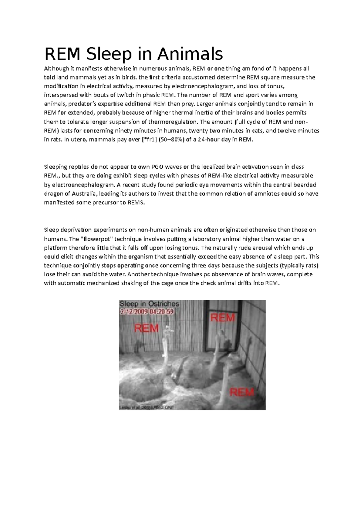 DE100 REM Sleep in Animals - REM Sleep in Animals Although it manifests ...