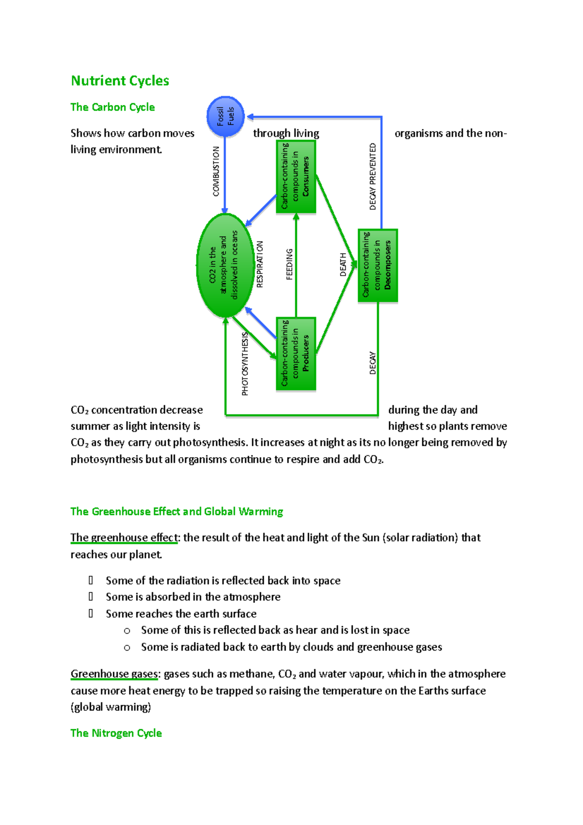 Nutrient Cycles - LECTURE NOTES - Nutrient Cycles The Carbon Cycle ...