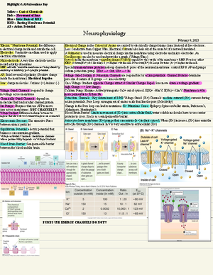 Ch 1-4 Class Notes - neurons: basic functional units of the nervous ...
