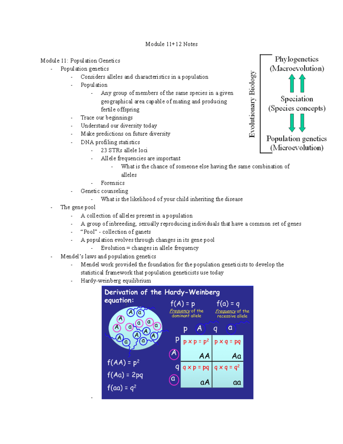Module 11+12 - Module 11+12 Notes Module 11: Population Genetics ...
