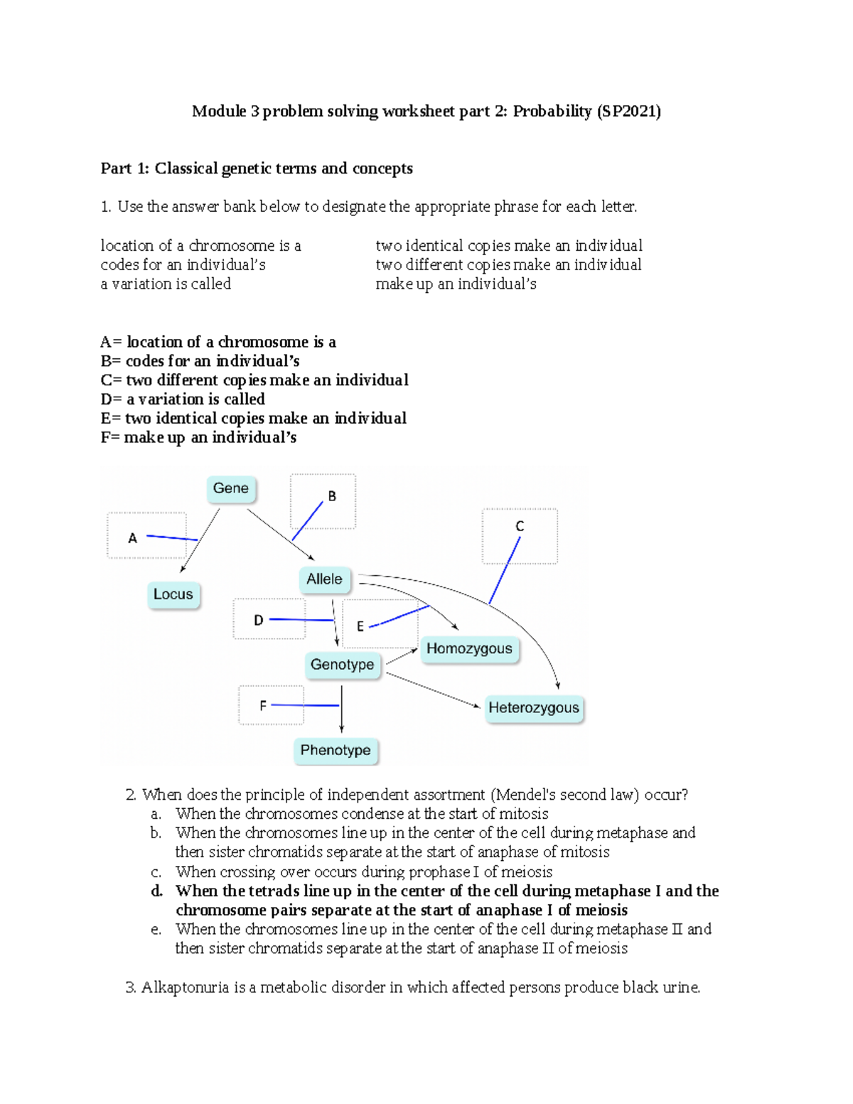 Module 3 Problem Solving Worksheet Part 2 Sp2022 1 30 22 Bernabe Module 3 Problem Solving