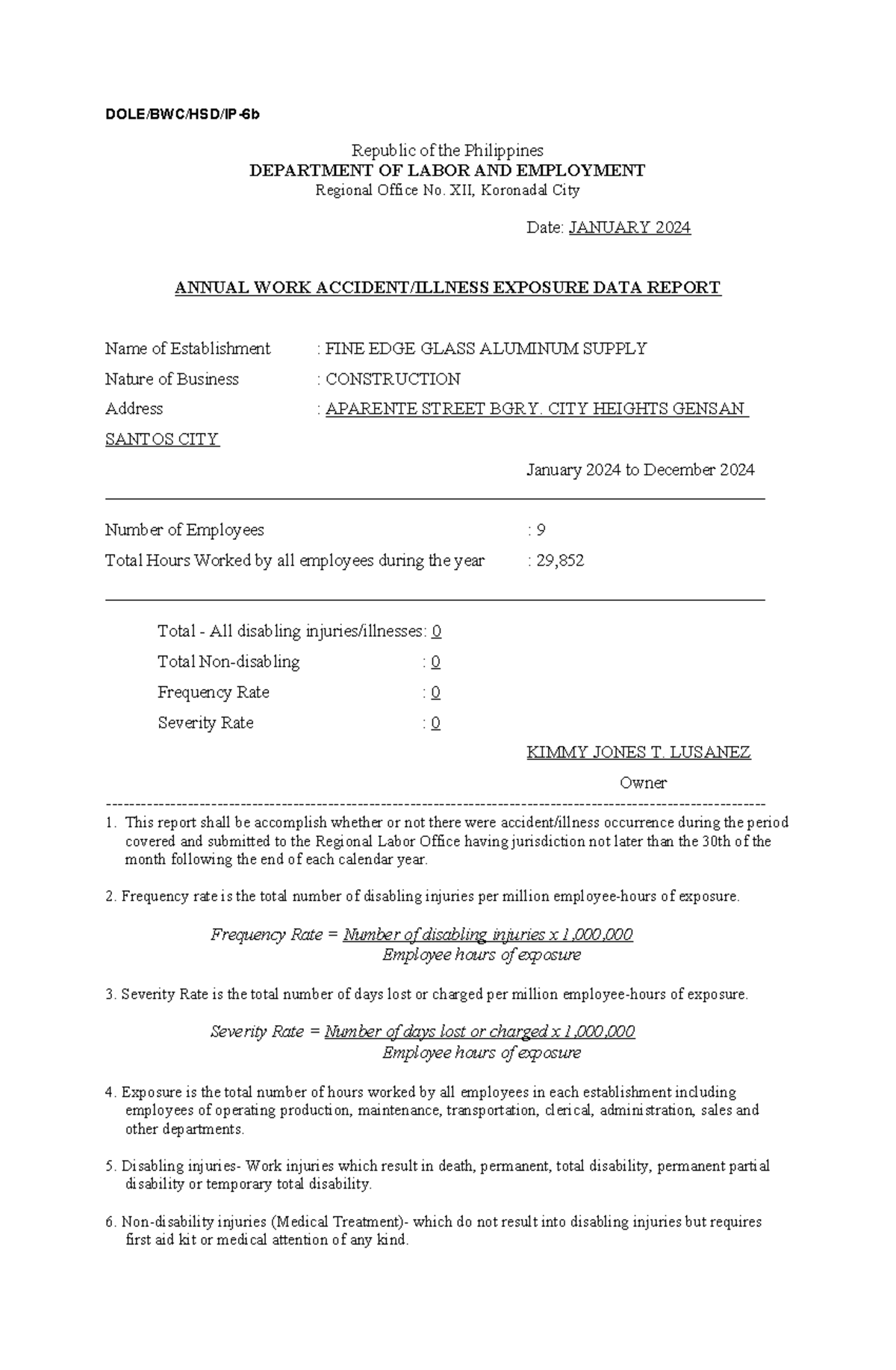 3. Annual Work Accident Illness Exposure Data Report - Fegas - DOLE/BWC ...