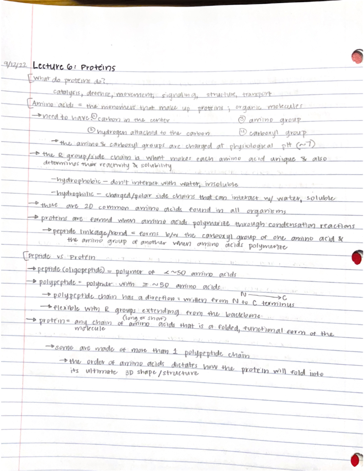 Lecture 6- proteins - Pitt BIOSC 0150 Laura Zapanta - 912/22 Lecture 6: Proteins What do ...