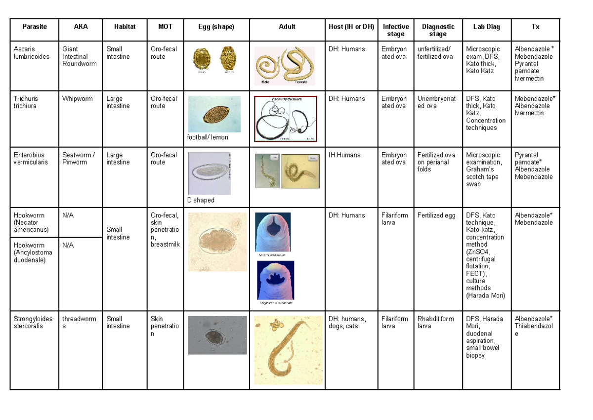 Clinical Parasitology (table) - Parasite AKA Habitat MOT Egg (shape ...