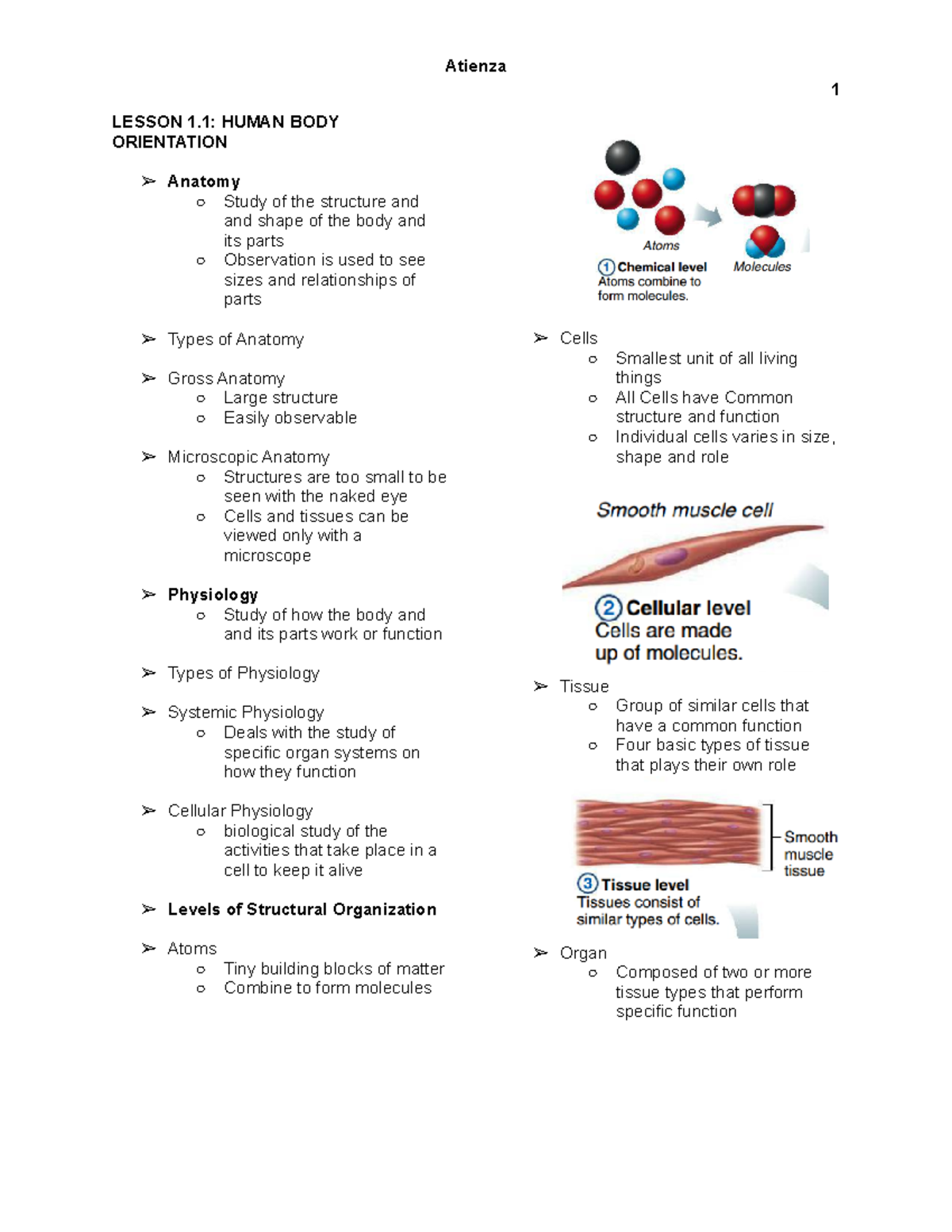 Anatomy and Physiology Reviewers Grade 12 First Semester - 1 LESSON 1 ...
