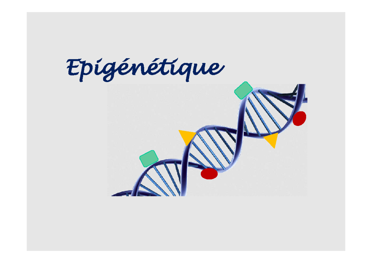 Épigénétique 11:09:24 - Epigénétique Même identité génétique ...