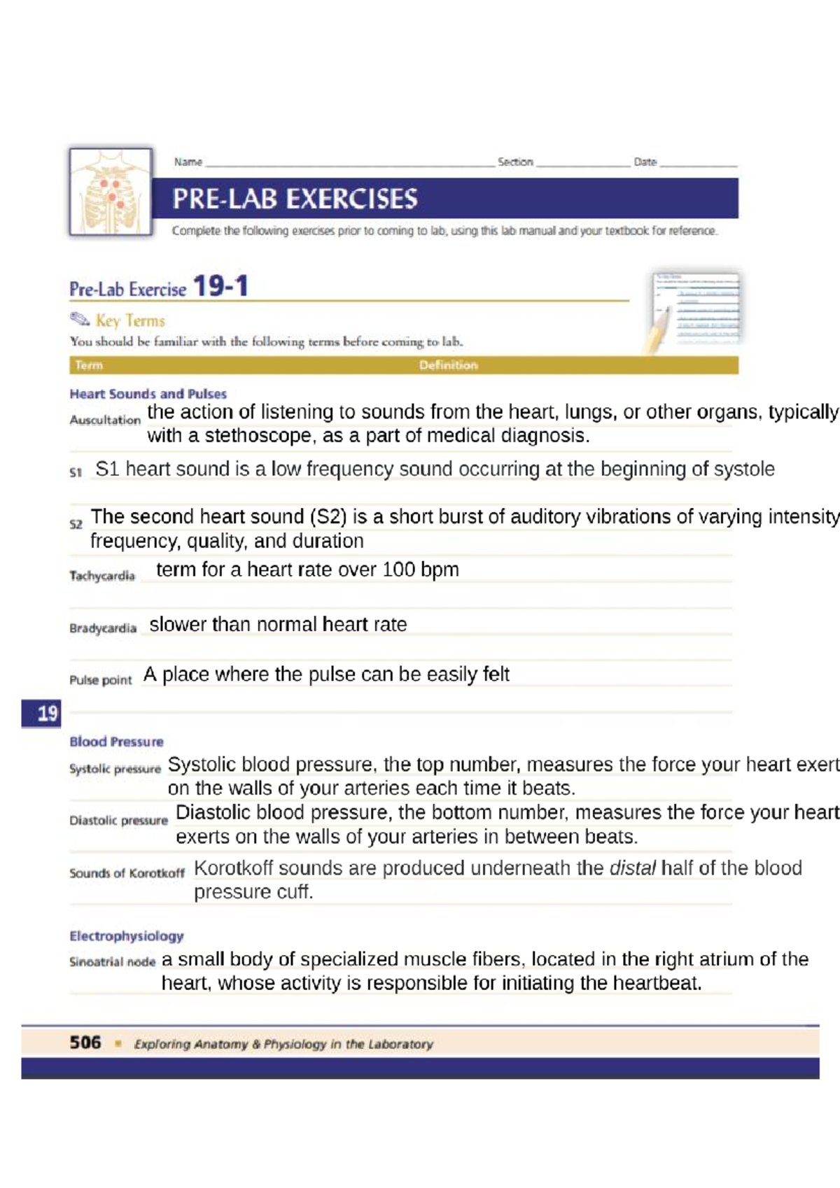 Cardiac Muscle Lab Exercise I 2022 Anatomy II - BIOL 3330 - Studocu