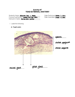 N05A Padilla - gc , , - When I think of science and technology, the ...