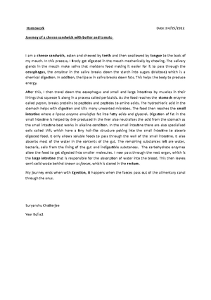 Third-Space-Learning-Quadratic-Simultaneous-Equations-GCSE-Worksheet ...