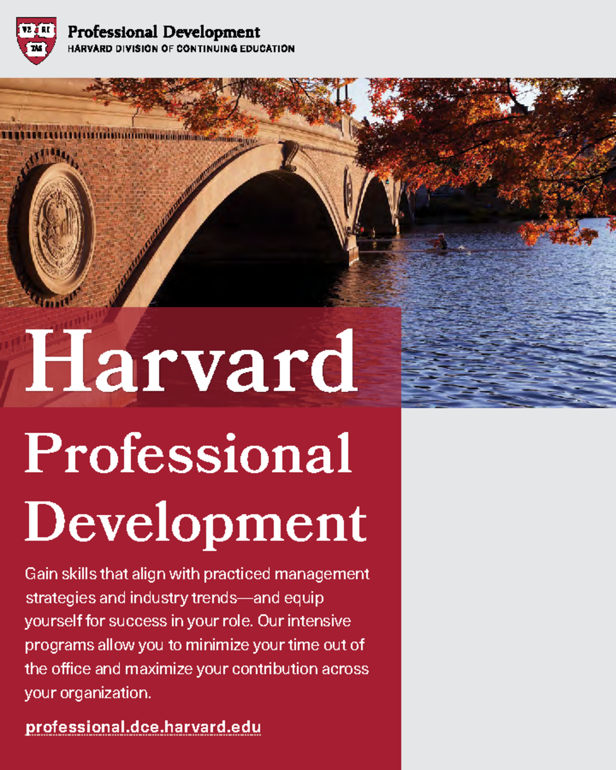 PDP Professional Development Program Brochures - Gain skills that align ...