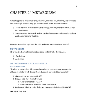 Metabolism worksheet - Metabolism Terms Metabolism: The sum of all the ...