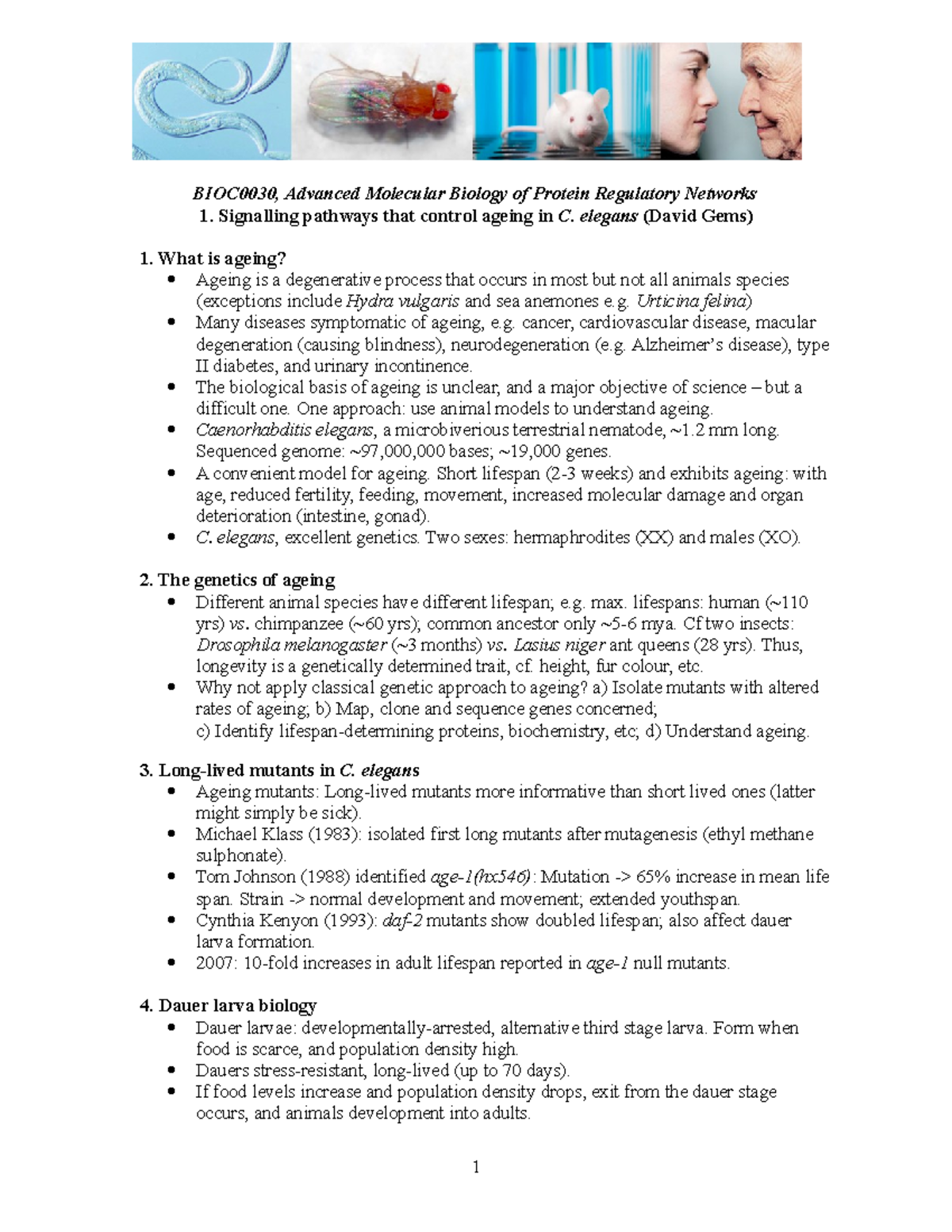 Prof. D. Gems Lectures 12 handout - BIOC0030, Advanced Molecular ...