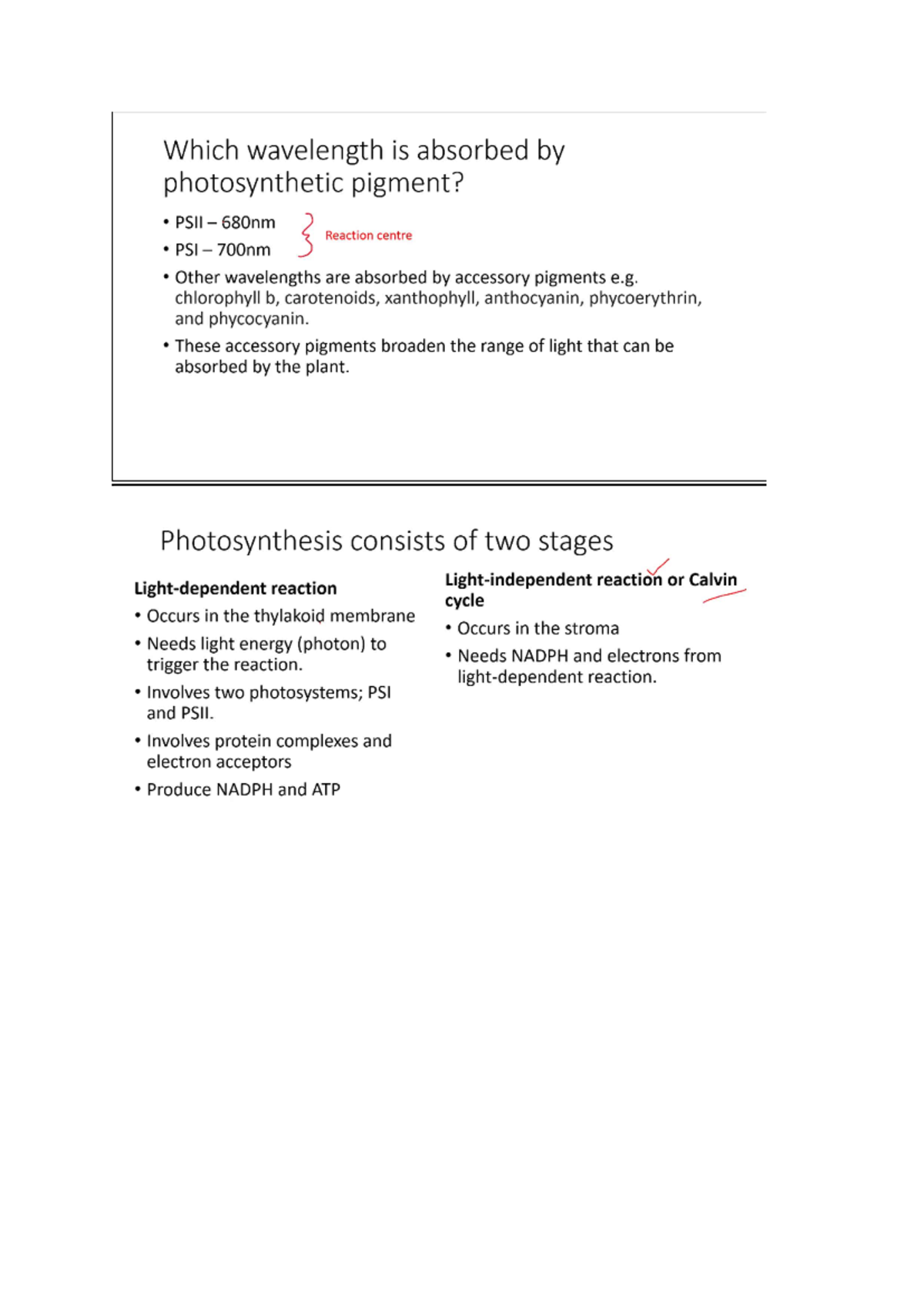 Photosynthesis stages - Which wavelength is absorbed photosynthetic ...