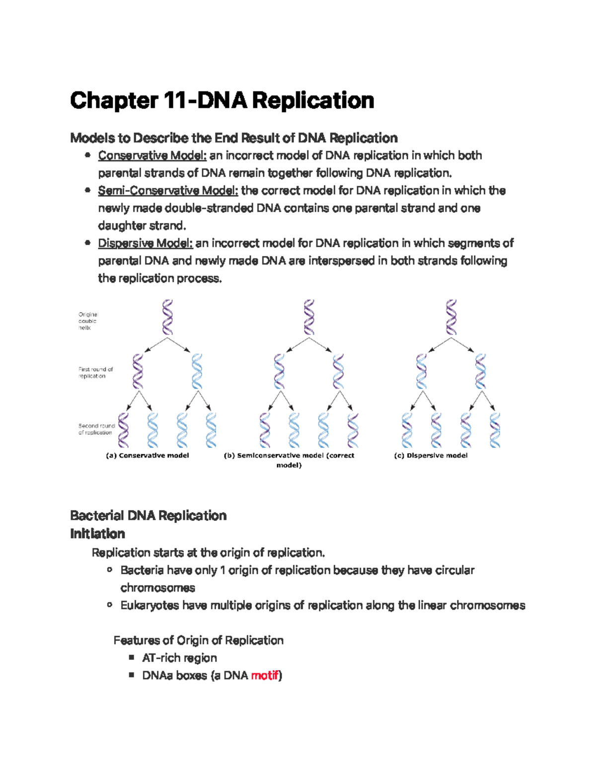 Chapter 11-DNA Replication Notes - Chapter 11-DNA Replication Models to ...